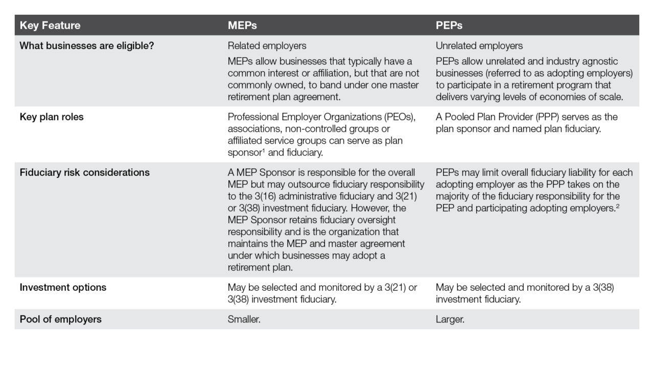 What’s the Difference Between MEPs and PEPs? - Ameritas